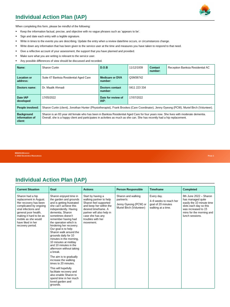 Individual Action Plan for Aged Care Client | PDF