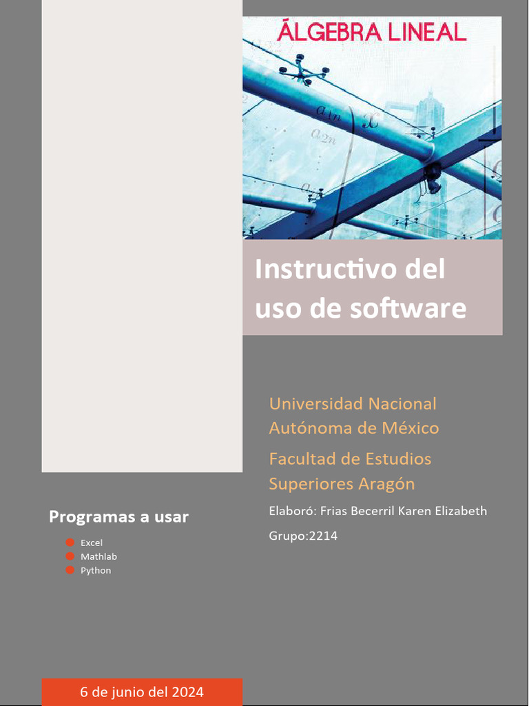 Instructivo Uso de Software | PDF | Microsoft Excel | Matriz (Matemáticas)