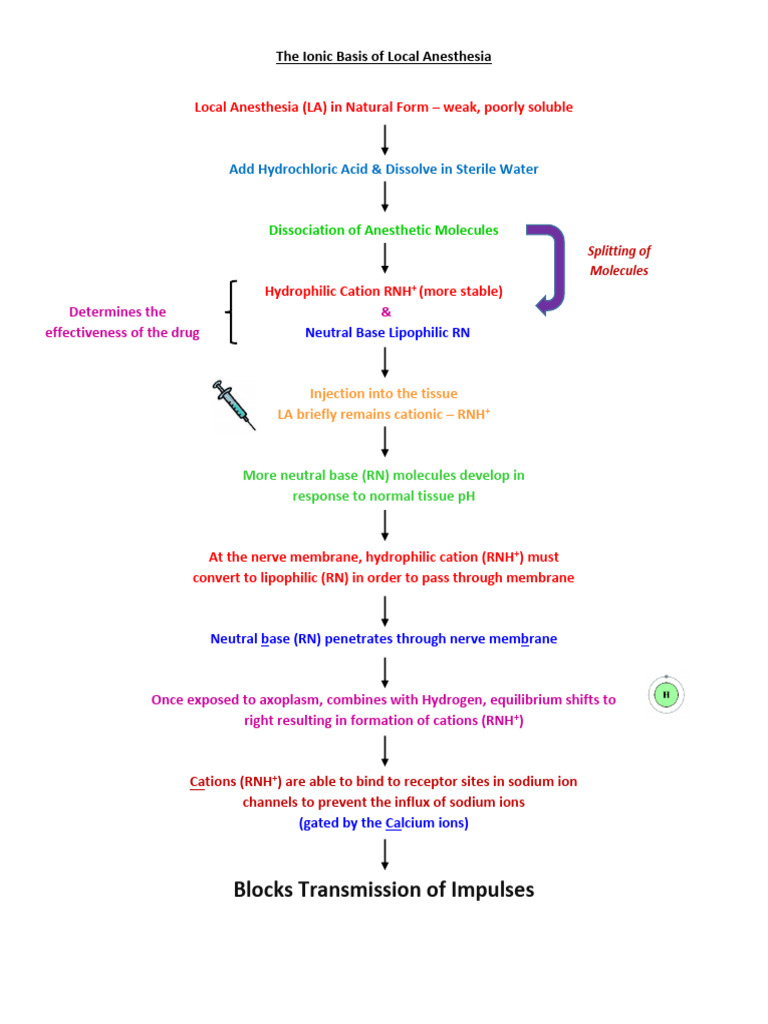 Mechanism of Local Anesthesia Explained | PDF | Acid | Ion