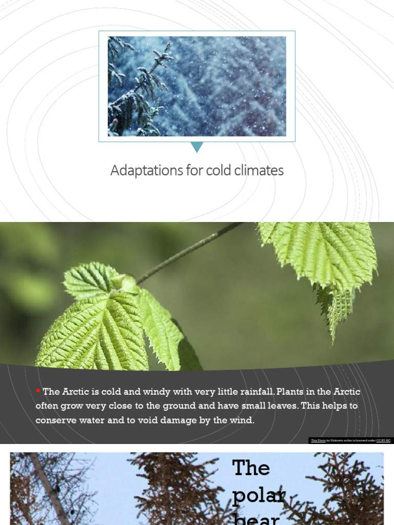 Adaptations for Cold Climates | PDF