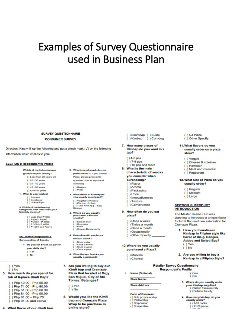 Business Plan Survey Examples | PDF