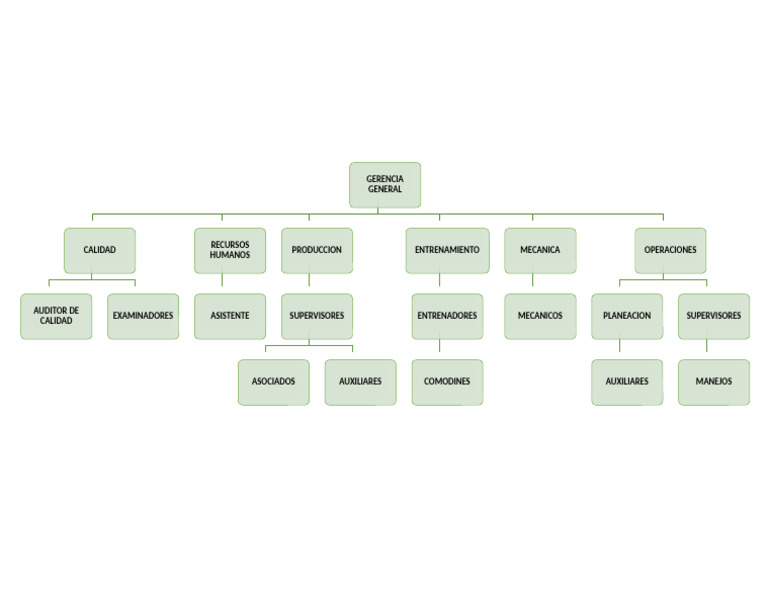 Organigrama Jerarquico | PDF