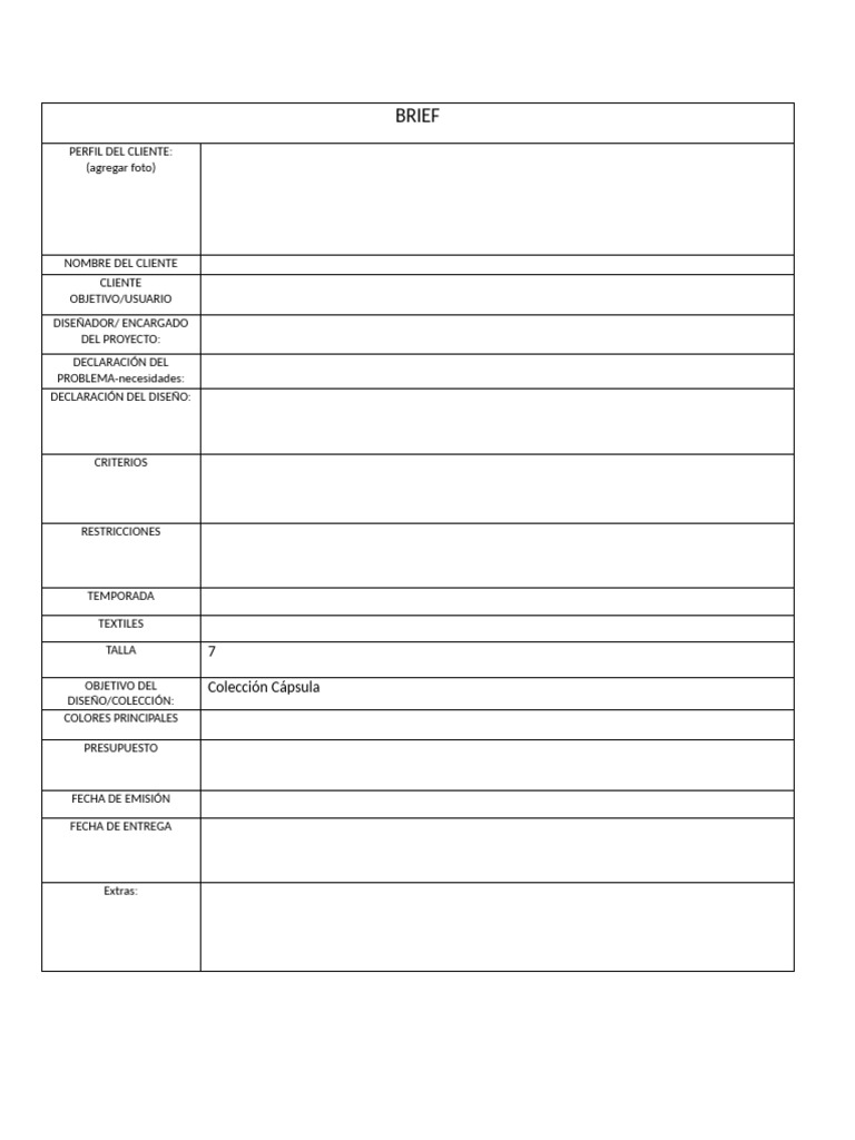 Brief Plantilla | PDF