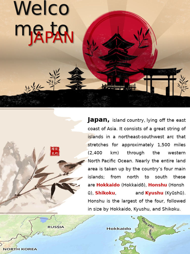 Japan History and Literature | PDF | Shogun | The Tale Of Genji