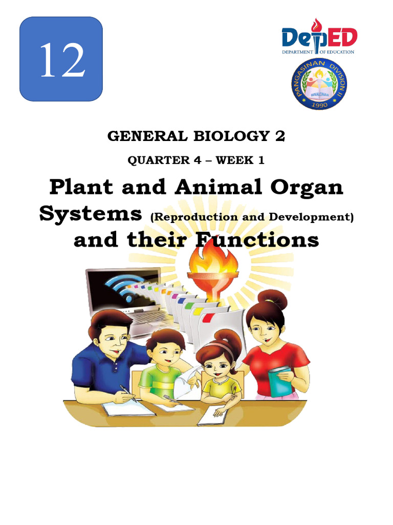 toaz.info-plant-and-animal-organ-systems-and-their-functions-general ...