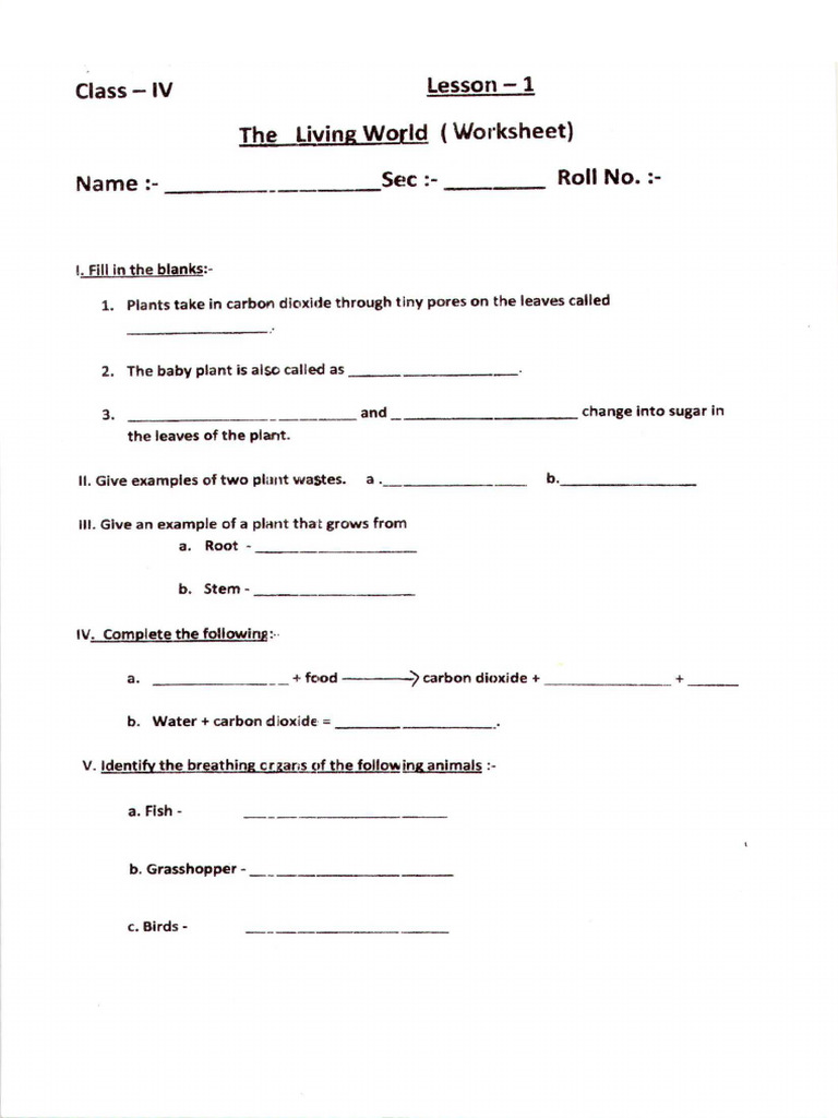 CBSE Class 4 Science Worksheet - The Living World | PDF