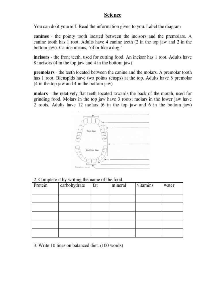 CBSE Class 4 Science Worksheet - Teeth (3) | PDF