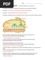 Amoeba Sisters Mutations Recap Guide | PDF | Genetic Code | Point Mutation