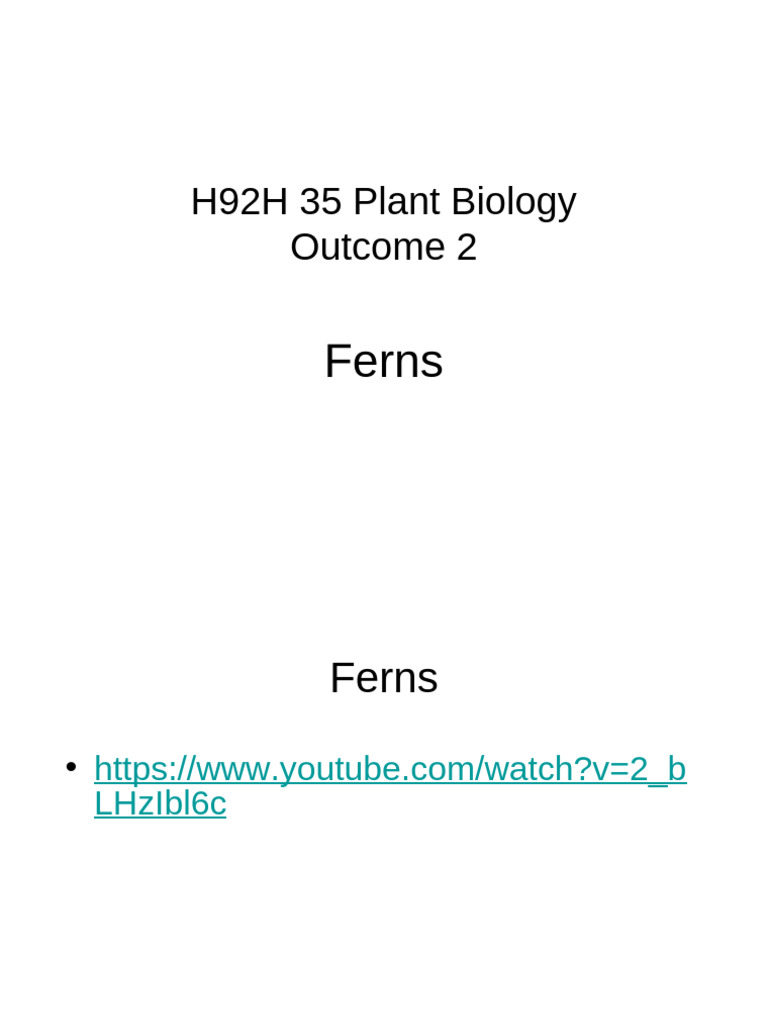 6. Ferns | PDF | Fern | Spore