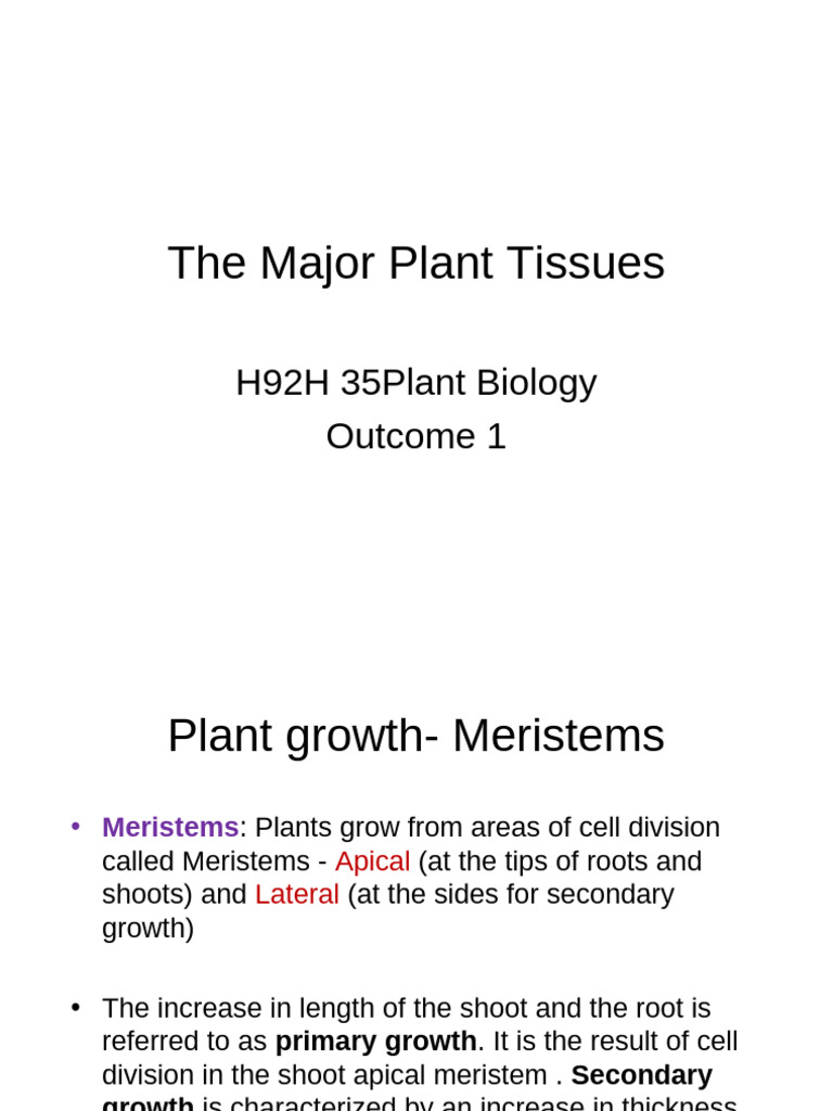 Cells and Tissues in Plants | PDF | Tissue (Biology) | Leaf