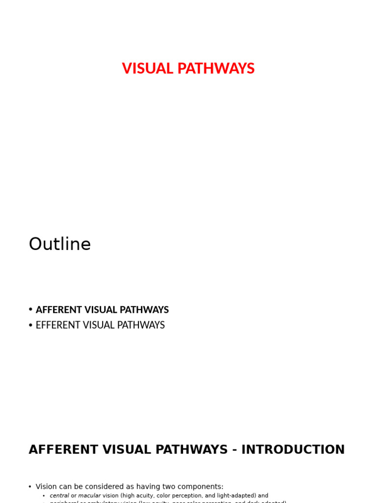 Affarent and Efferent Visual Pathways | PDF | Visual System | Visual Cortex