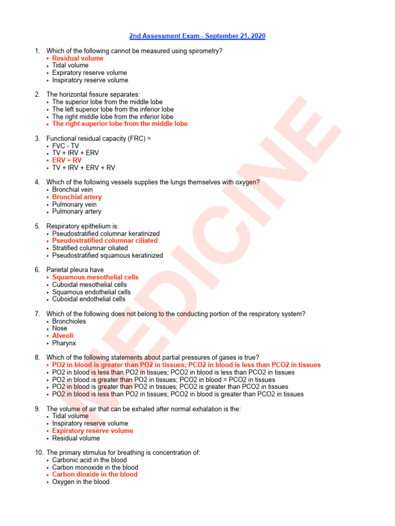 Respiratory System Assessment Questions | PDF | Lung | Respiratory System
