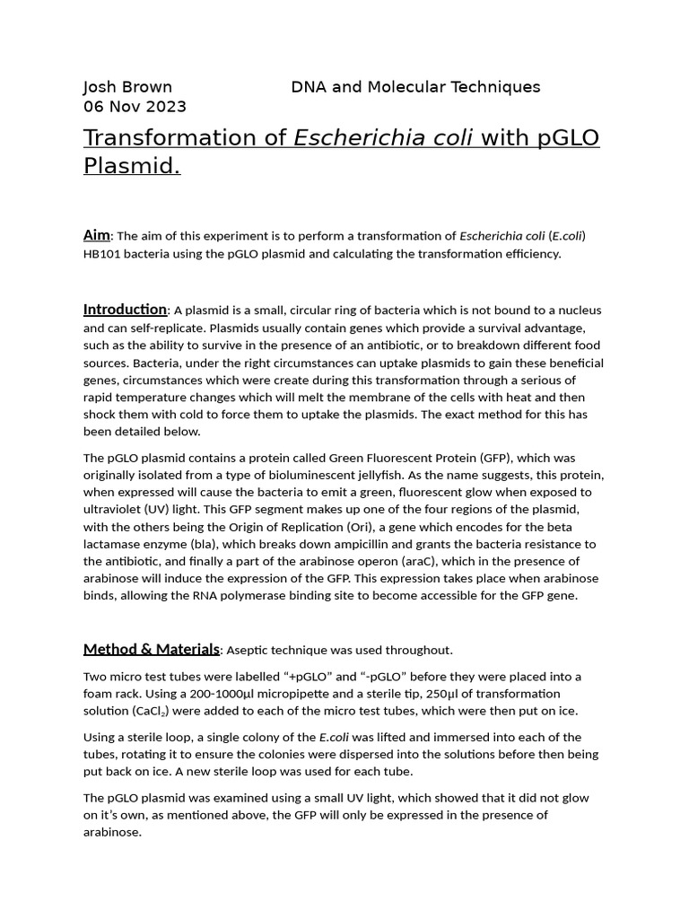 Lab Report - pGLO transformation | PDF | Plasmid | Gene