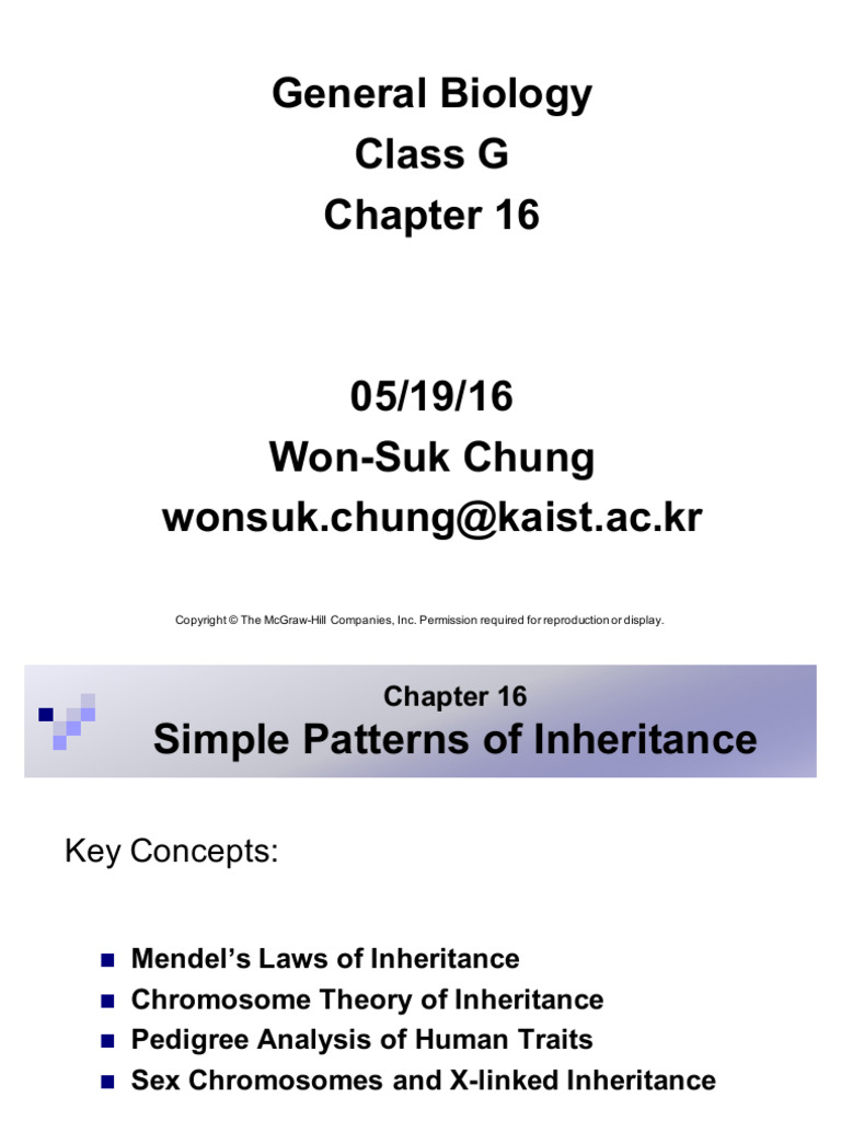 General Biology Class G 5-19 | PDF | Dominance (Genetics) | Meiosis