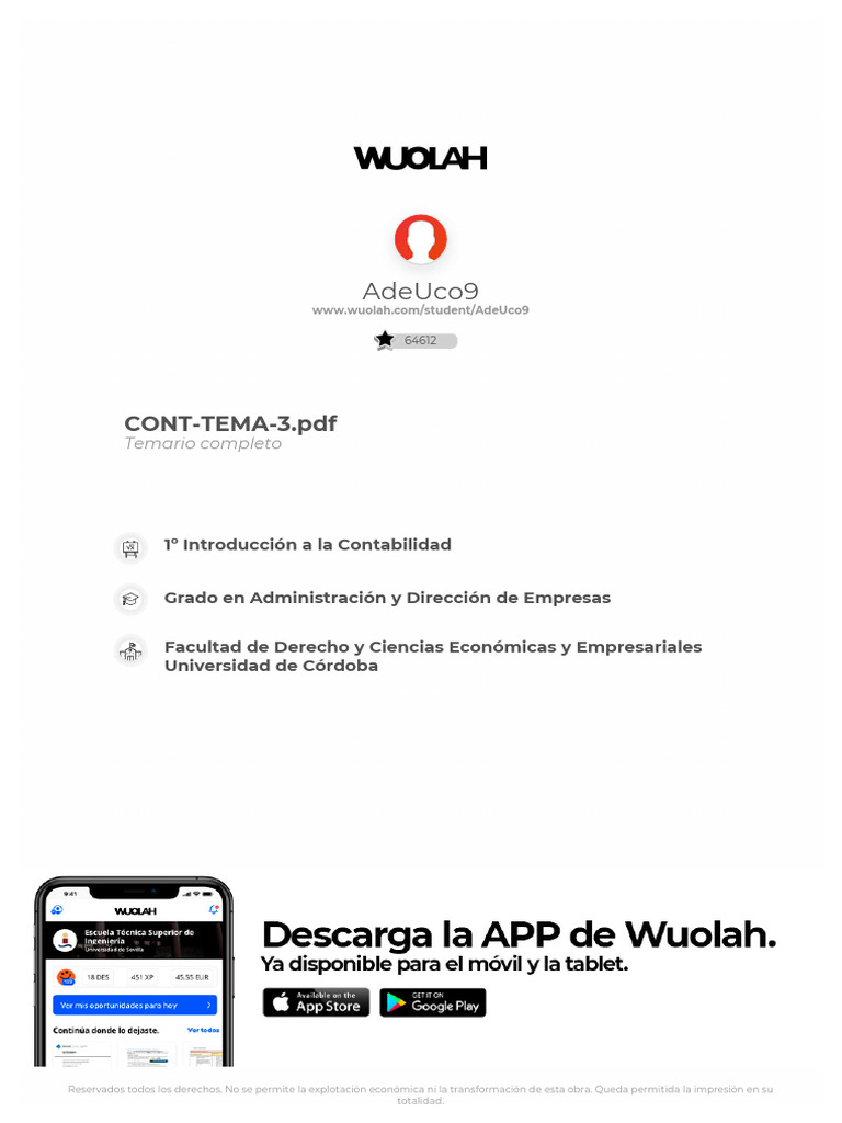 TEMA 3 Patrimonio | PDF | Hoja de balance | Contabilidad