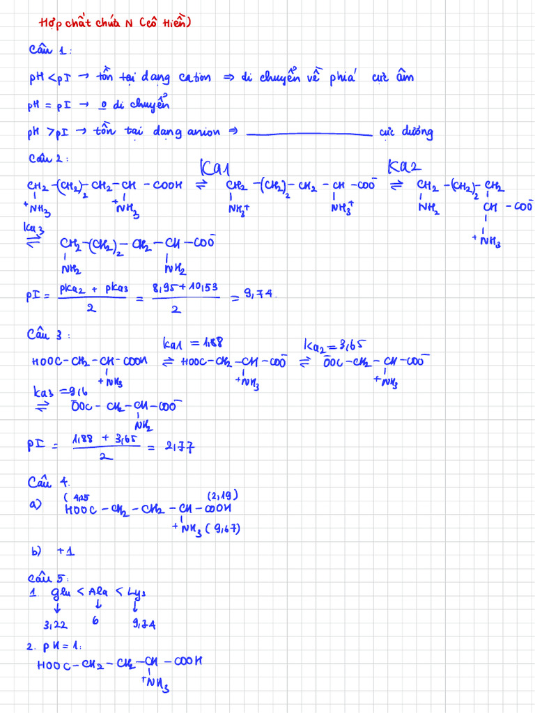 Hợp Chất Chứa N - Cô Hiền | PDF