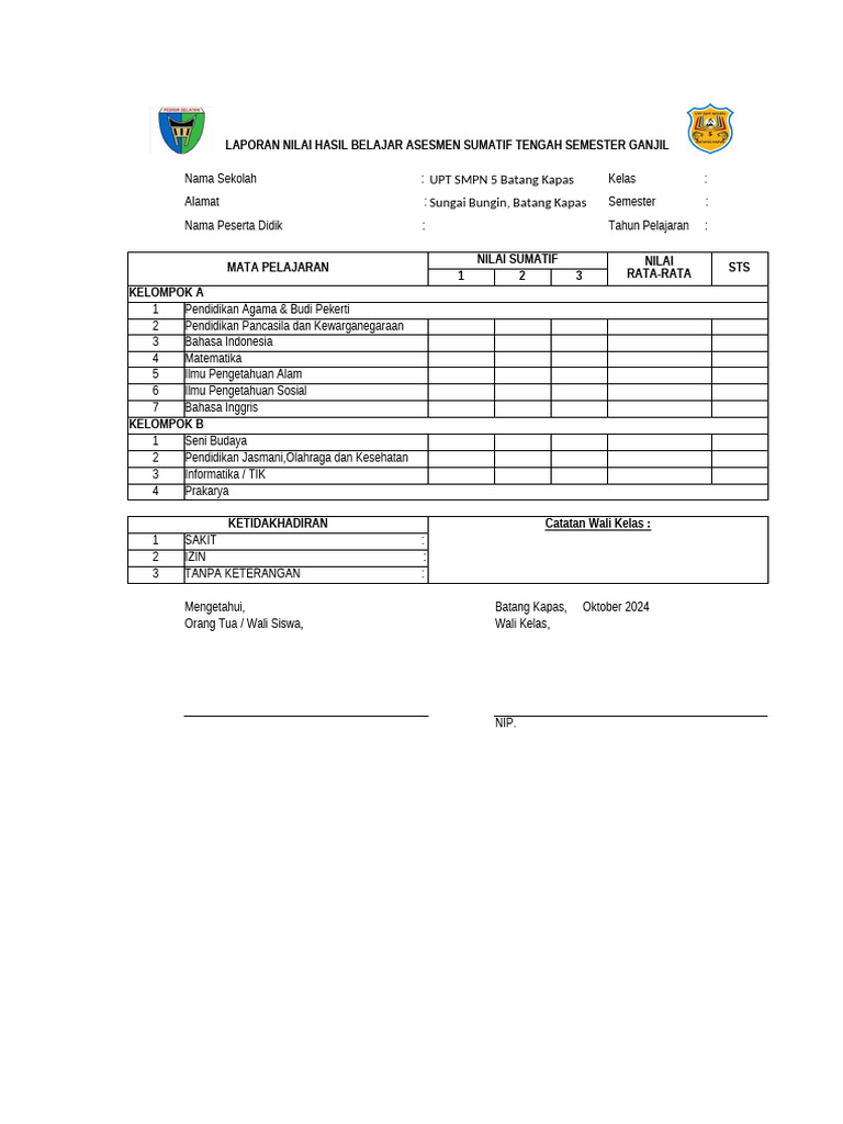 FORMAT_RAPORT_KUMER_2024 | PDF