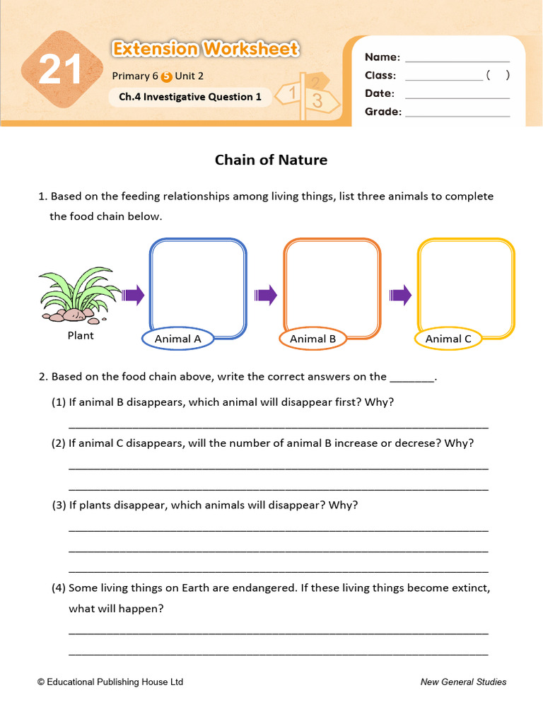 Stupid Science Worksheet | PDF | Foods | Endangered Species