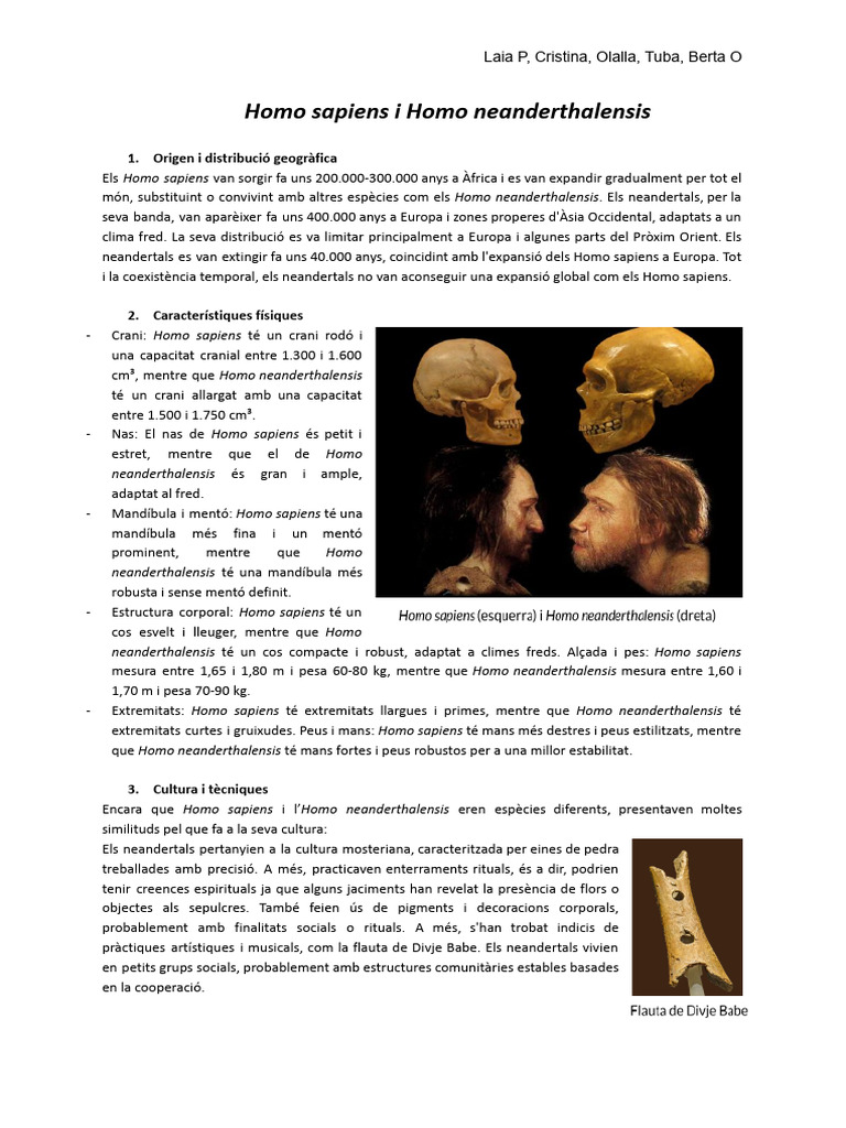 Homo Sapiens I Homo Neardenthalensis | PDF