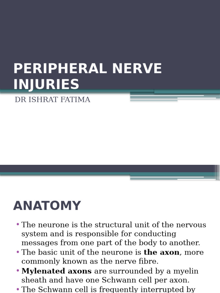 Understanding Peripheral Nerve Injuries | PDF | Carpal Tunnel Syndrome ...