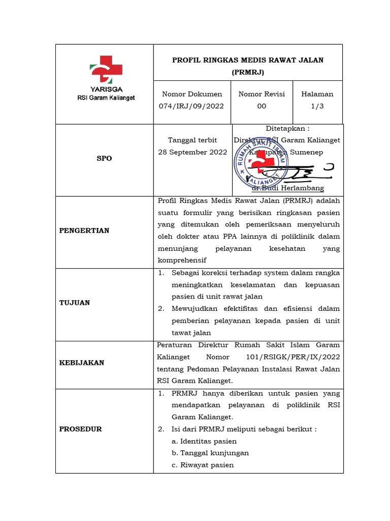 074 Spo Profil Ringkas Medis Rawat Jalan | PDF