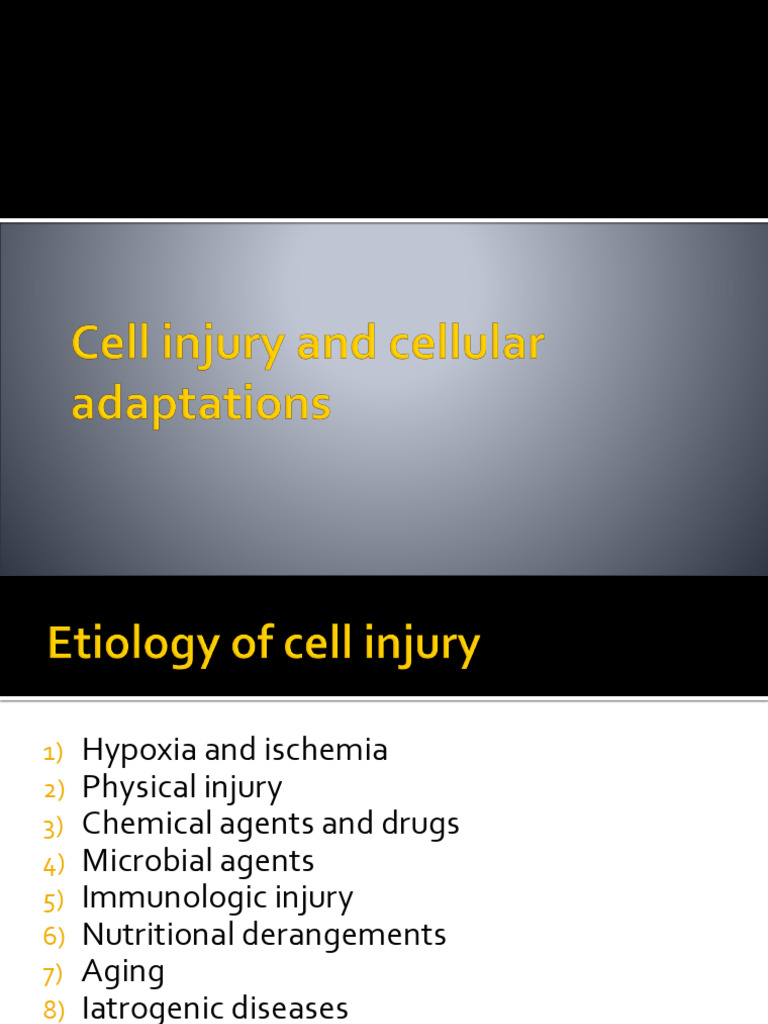9.10. Cell Injury and Cellular Adaptations | PDF | Glycogen | Genetic Disorder