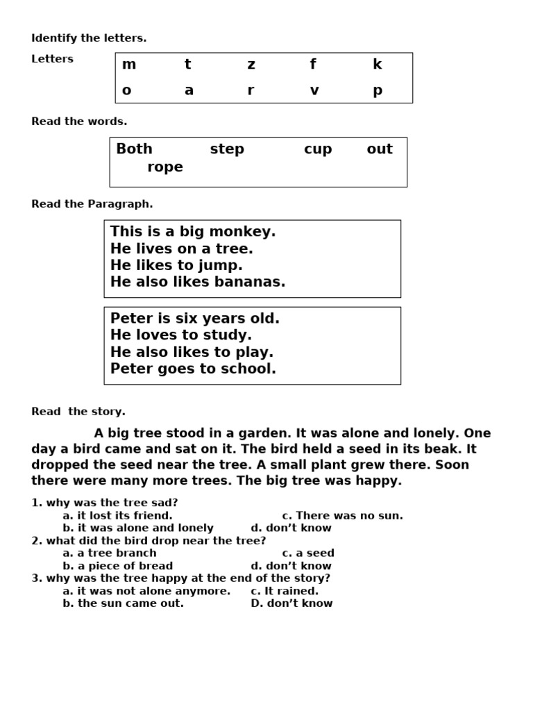 Reading Assessment Tool | PDF