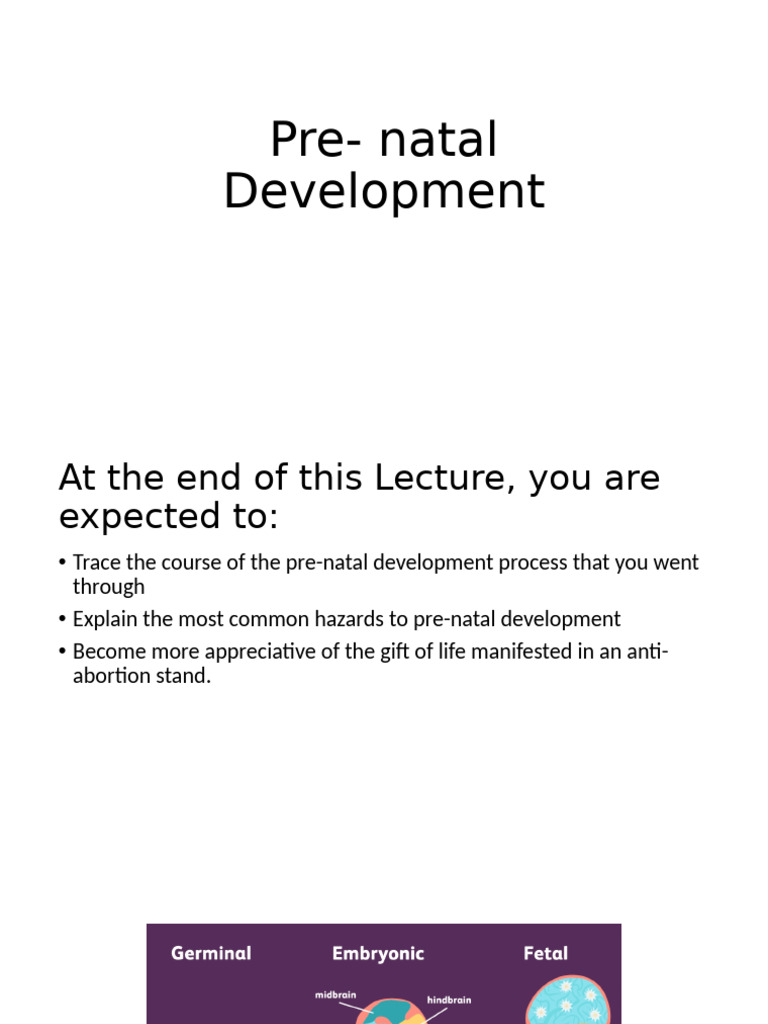 Pre Natal Development | PDF | Prenatal Development | Embryo