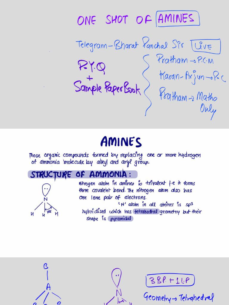 Amines One Shot by BP Sir-Invert (2) | PDF