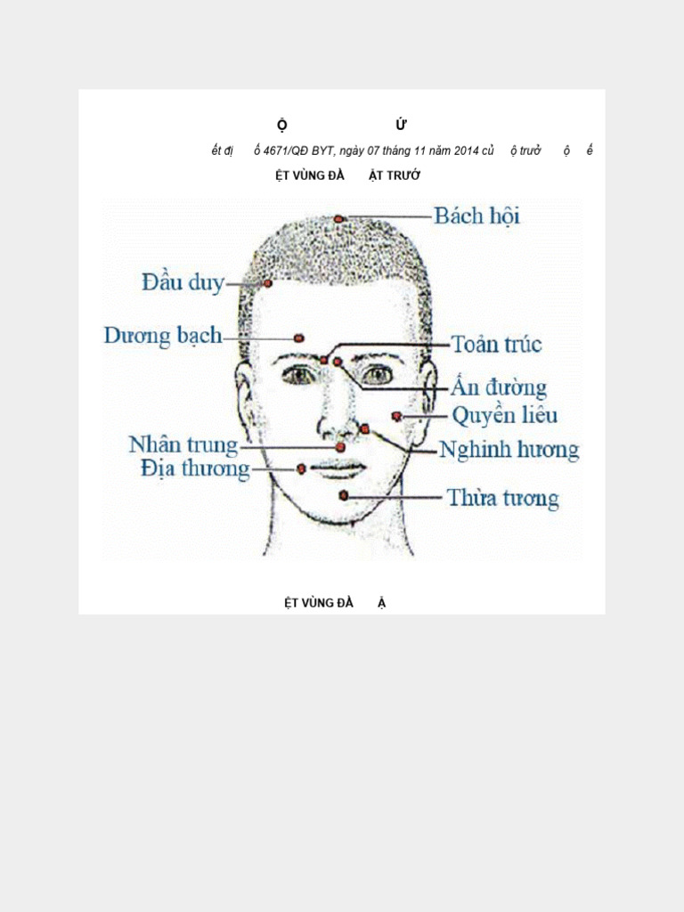 Acupuncture Picture | PDF