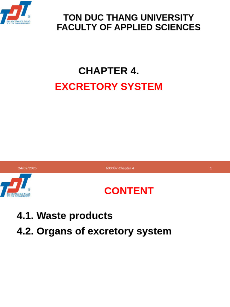 603087-Animal physiology - Chapt 4 -EXCRETORY SYSTEM | PDF | Excretion ...