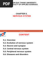 HBS 213 NeuronFormsComparisonChart | PDF