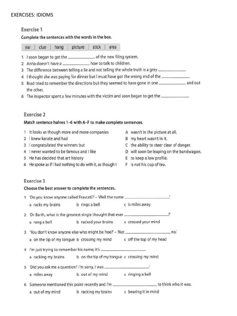 Exercises About Idioms | PDF