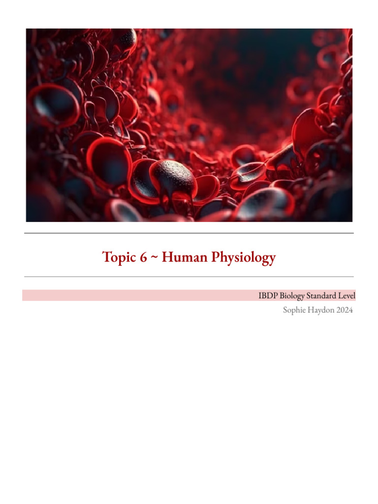IBDP BIOLOGY Topic 6 - Human Physiology | PDF | Artery | Vein IBDP BIOLOGY Topic 6 - Human Physiology | PDF | Artery | Vein