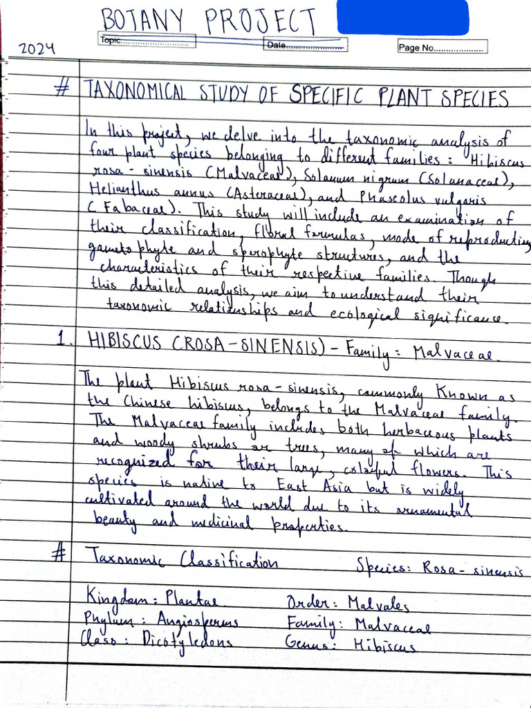 BOTANY PROJECT On Flower Families | PDF