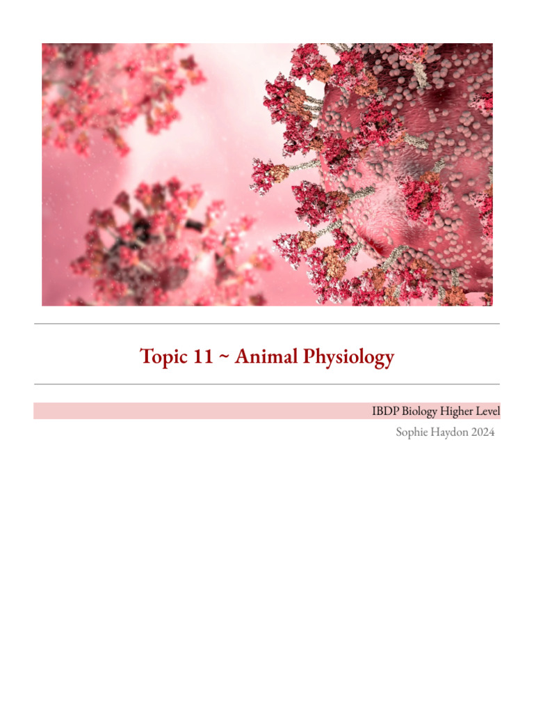 Topic 11 - Animal Physiology | PDF | Antibody | B Cell
