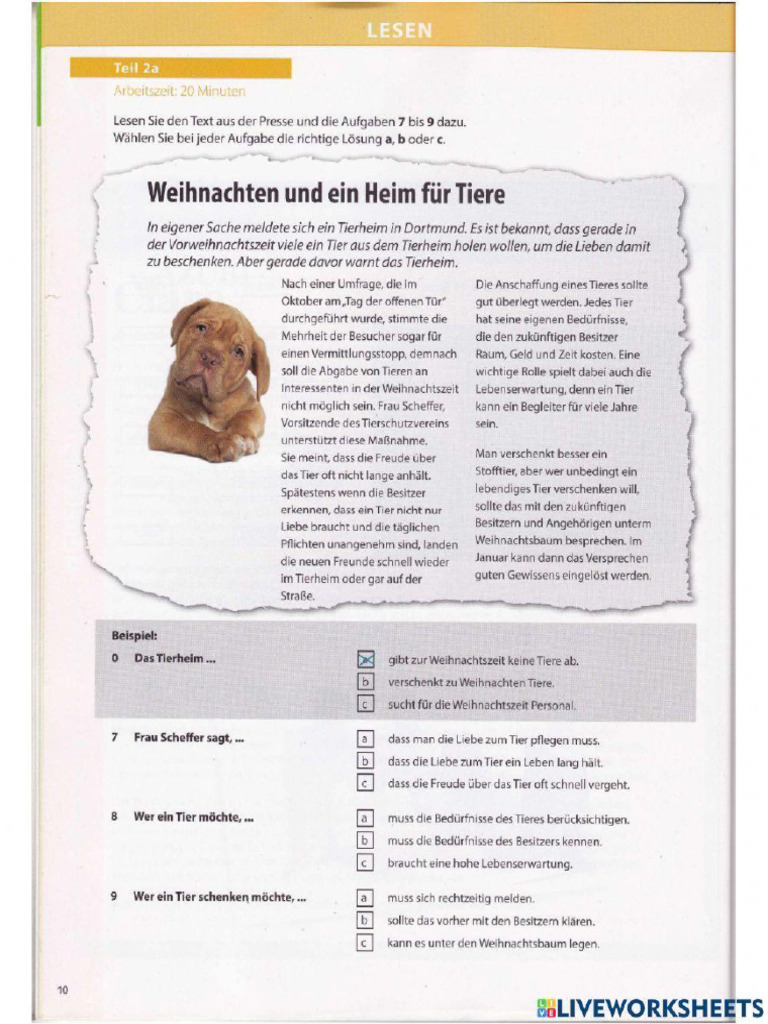 Lesen | PDF