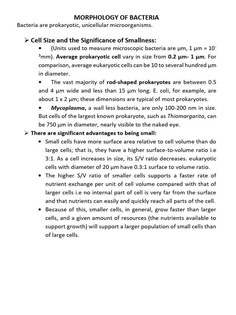 Bacterial Cell Morphology | PDF | Cell Membrane | Bacteria
