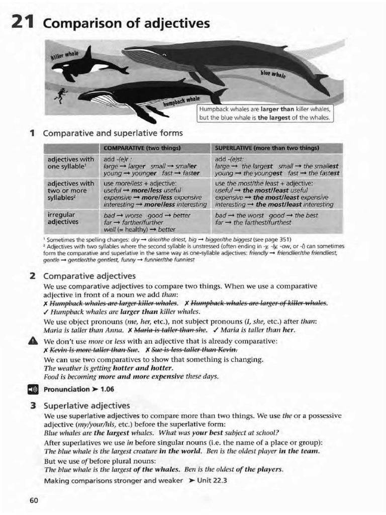 1B Comparison My GrammarLab B1 & B2 | PDF