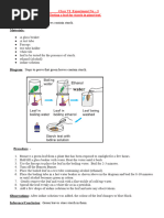 Experiment #2 Testing A Leaf For Starch | PDF