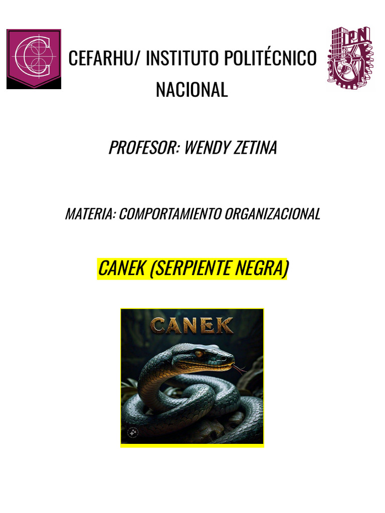 Caratula Nomas 2 | PDF | Marketing | Gestión de recursos humanos
