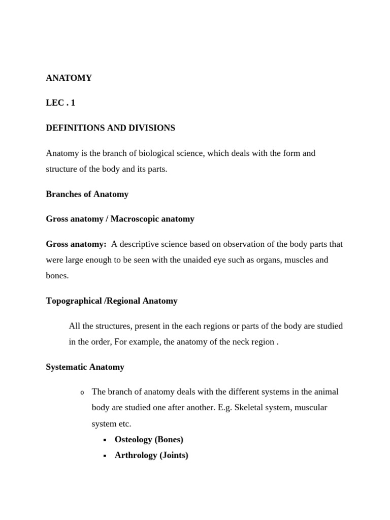 Overview of Anatomy and Cell Structure | PDF | Connective Tissue | Pelvis