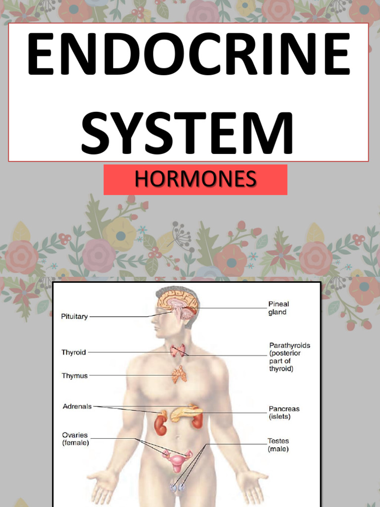 ENDOCRINE SYSTEM With Fast Track Learning and SLA | PDF | Hormone | Endocrine System