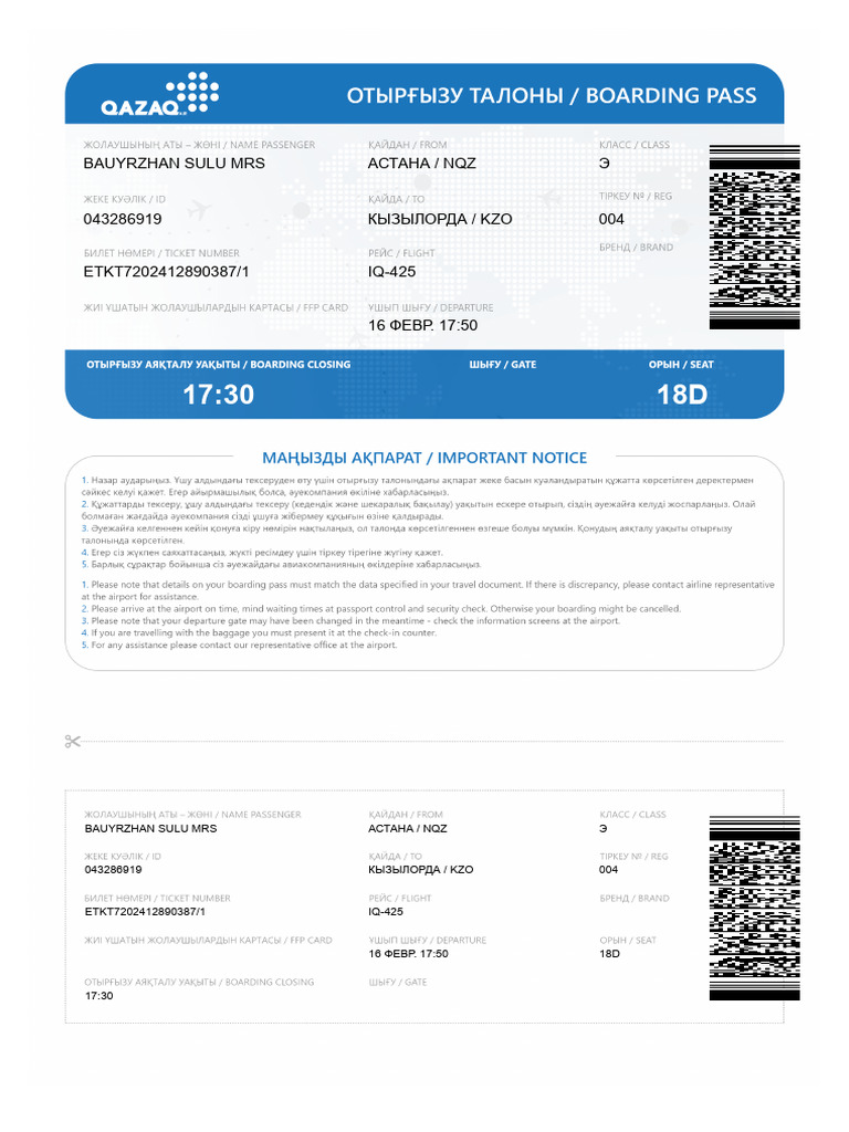boarding-pass BAUYRZHAN (1) | PDF