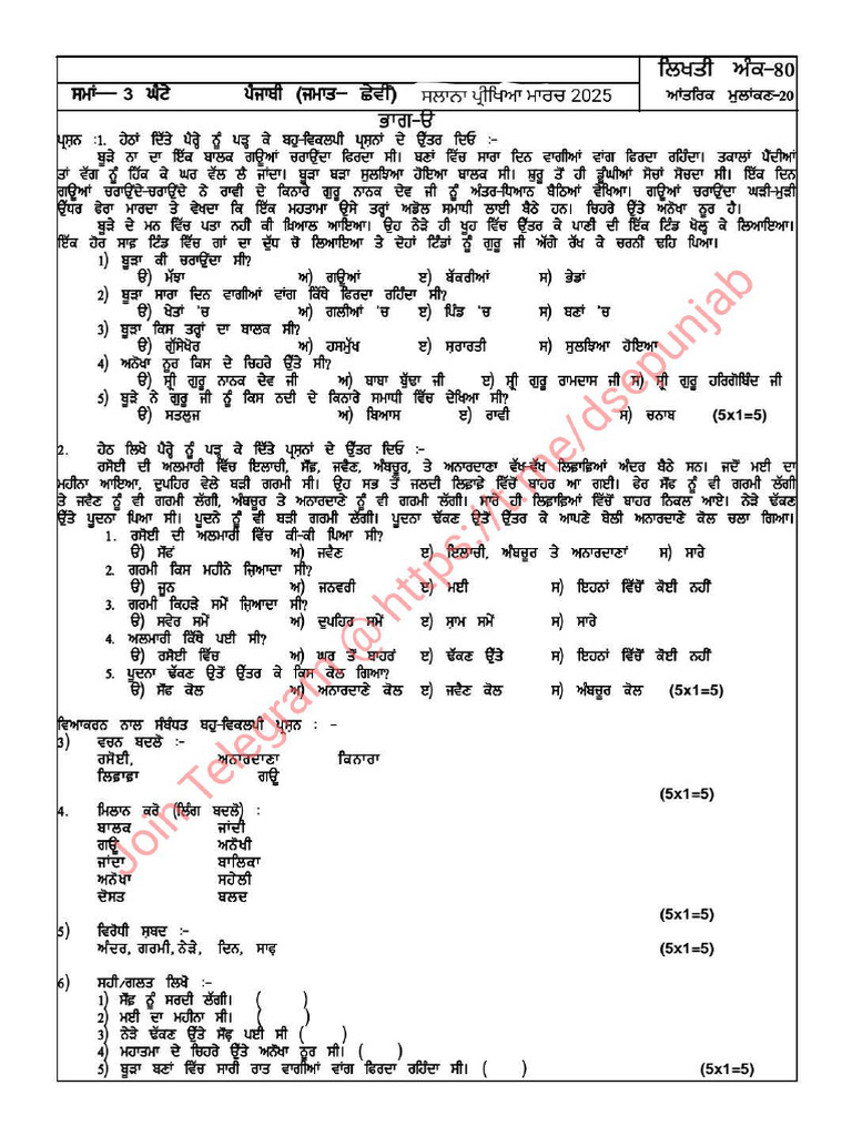 6th, 7th, 9th Punjabi Final Exam March 2025 | PDF