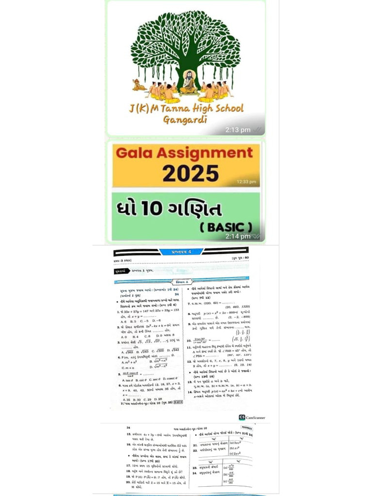 Gala P-4 Assi - Solution 10 Math's 2024-25 | PDF