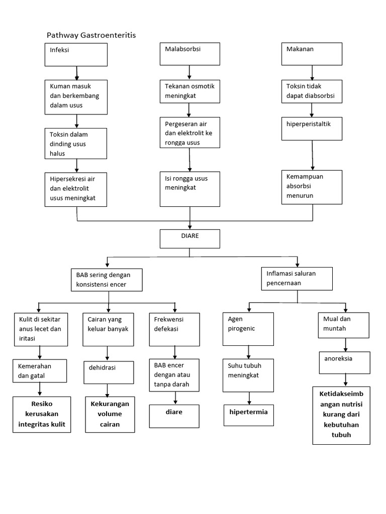 PATHWAY GASTROENTERITIS | PDF