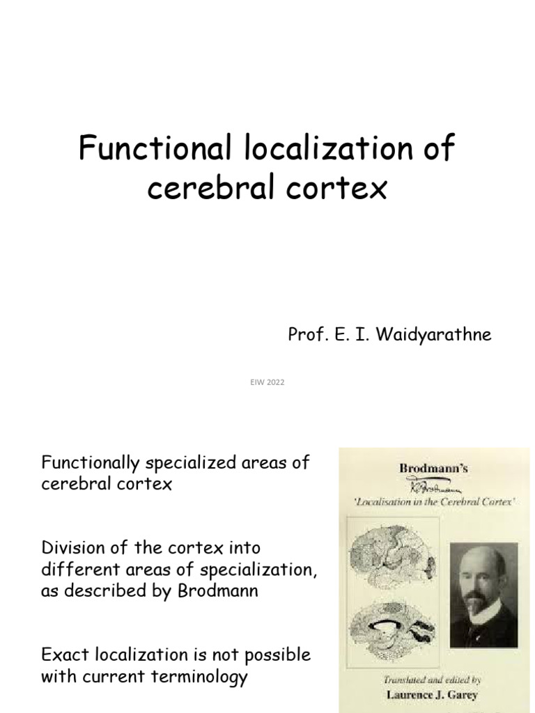 Functional Localization of Cerebral Cortex 2020 | PDF | Cerebral Cortex ...