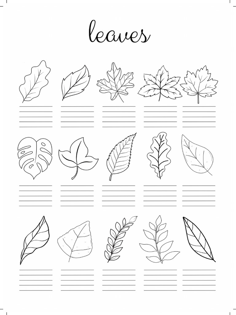Leaves | PDF