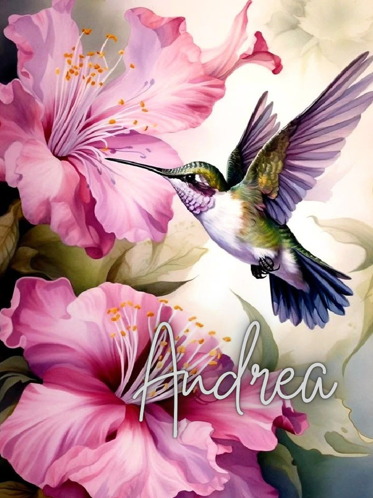 Andrea_20250220_003705_0000 | PDF